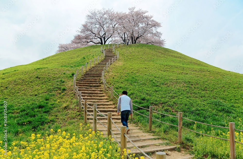 Photo Stock Climbing the stairway to a hilltop of green grassy meadow ...