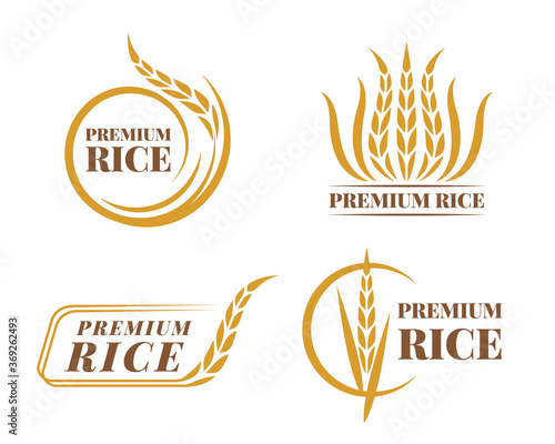 Rice emblems labels badges collection , gold paddy rice logo vector ...