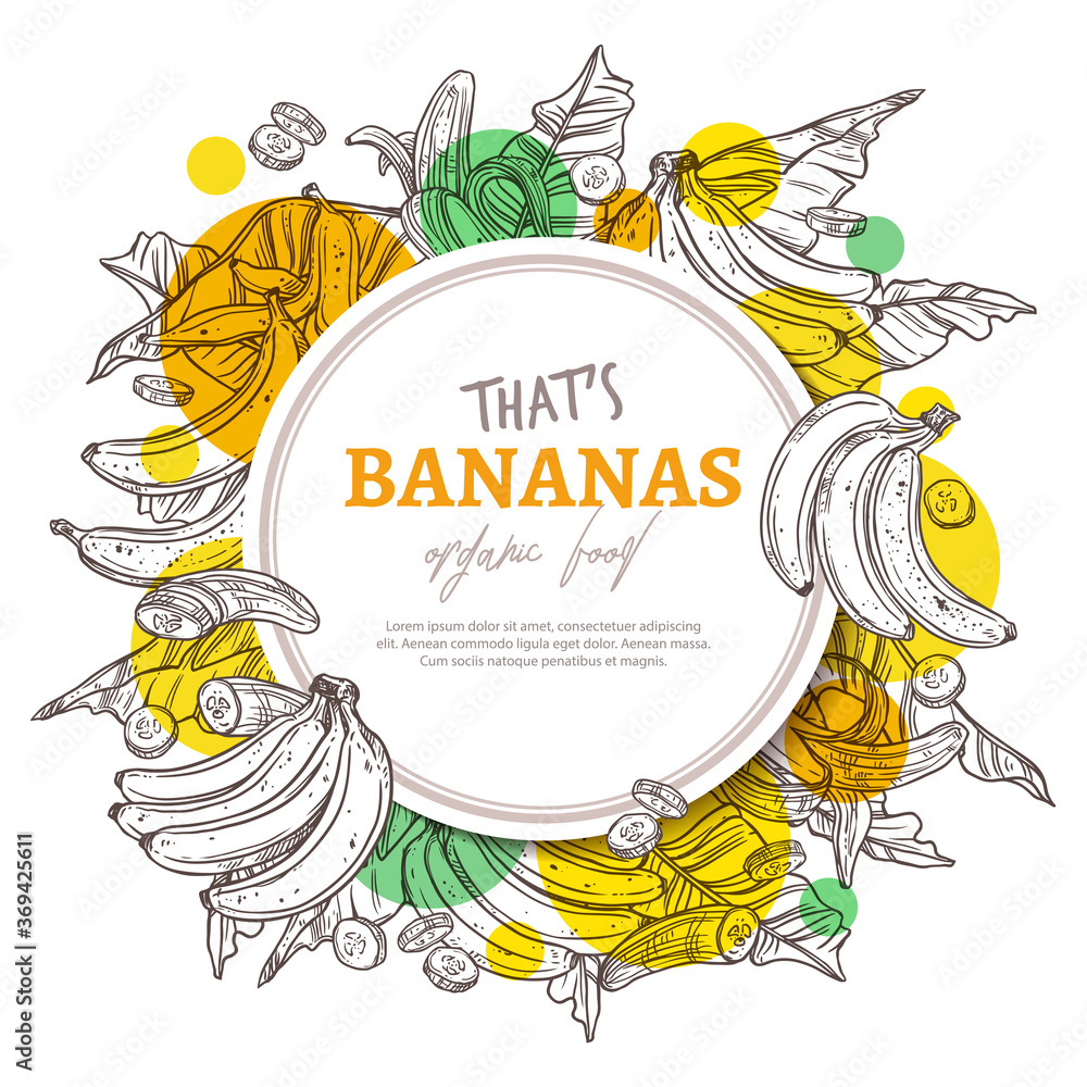 Bananas round banner. Vector sketch hand drawn label. Fruit exotic ...