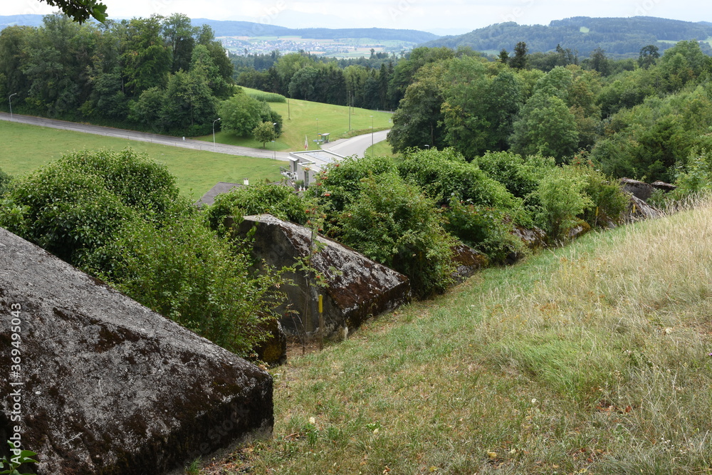 Foto Row of concrete anti-tank barriers, obstacles nicknamed Toblerone Lines, covered with moss ...