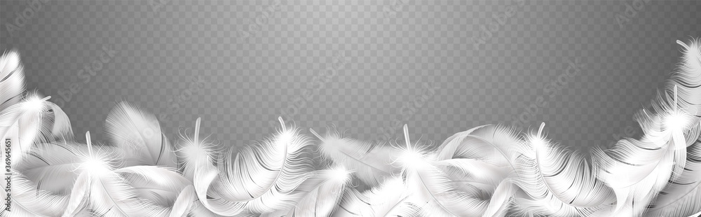 White feathers. Realistic frame with fluffy bird plume, falling ...