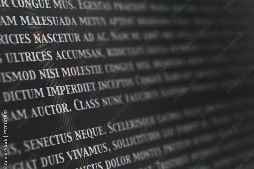 Lorem Ipsum text on a computer screen, a placeholder for text often ...