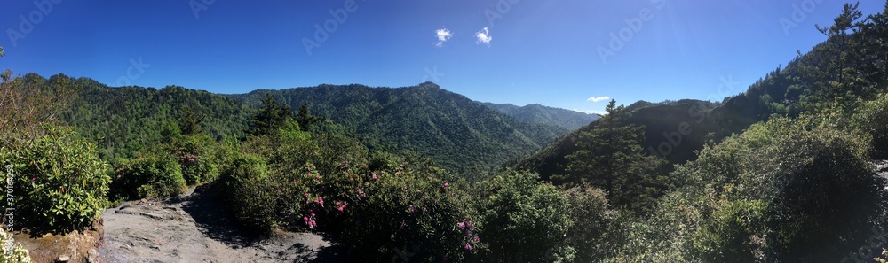 Mount LeConte Trail - Smoky Mountains National Park, TN Stock Photo ...