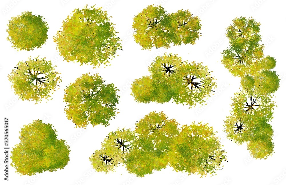 Set of watercolor tree top view for landscape plan and architecture ...