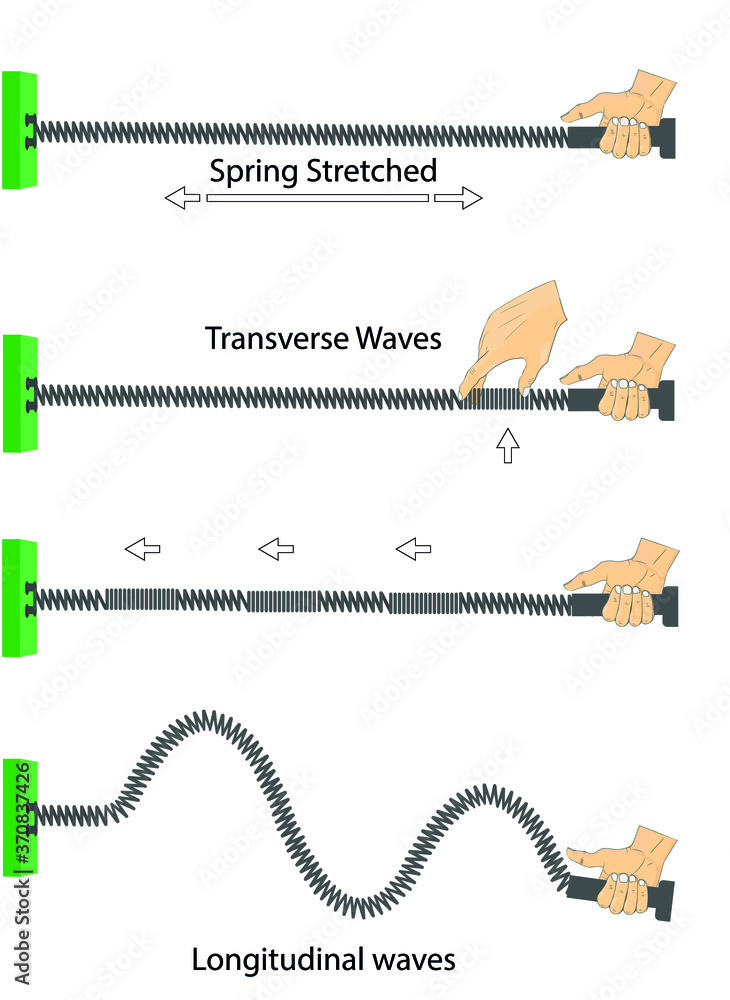physics. spring stretched. transverse waves. longitudinal. The ...