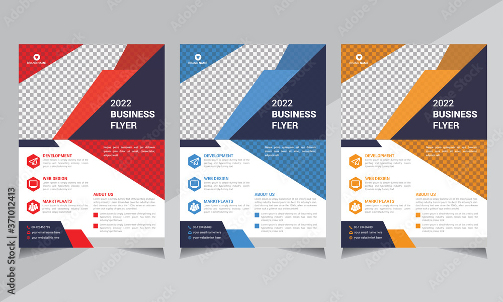 Professional Business Flyer Design Templates, layout, annual report ...