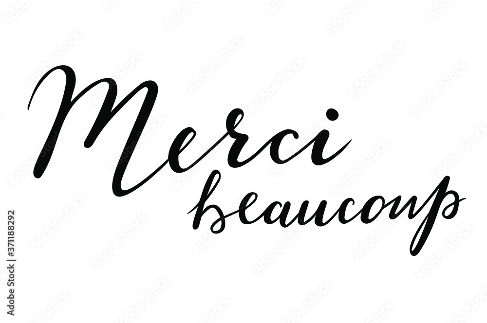 Merci beaucoup - Thank you in French language hand lettering vector ...