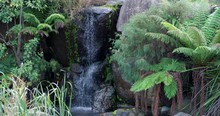 Waterfall Canberra Free Stock Photo - Public Domain Pictures