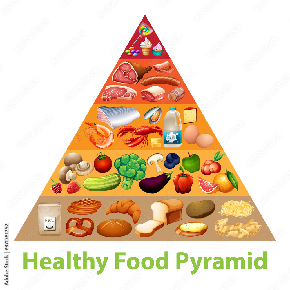 Healthy food pyramid chart Stock Vector | Adobe Stock Healthy food pyramid chart Stock Vector | Adobe Stock