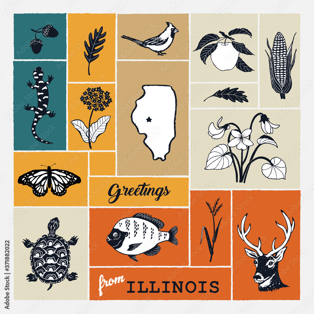 Hand drawn illustration in retro vintage style. Symbols of Illinois ...