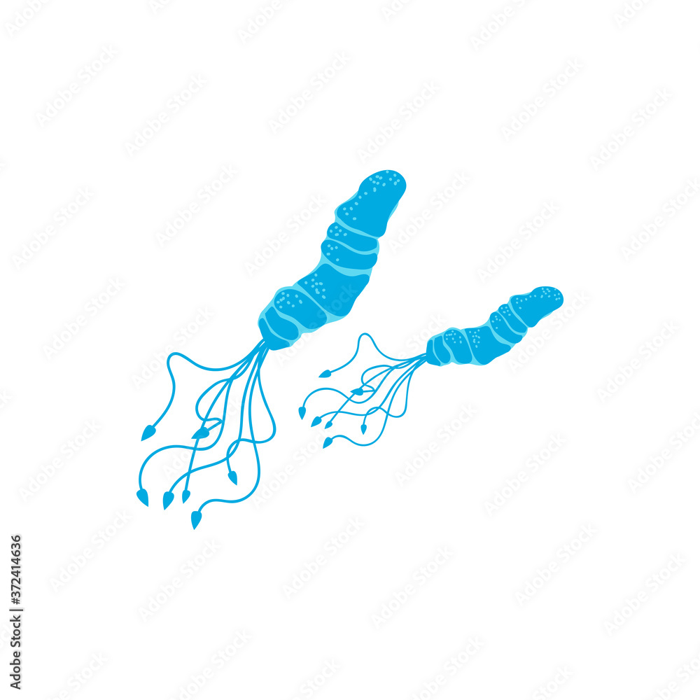 Flagellum spirilla microscopic bacteria. Bacterial microorganisms ...