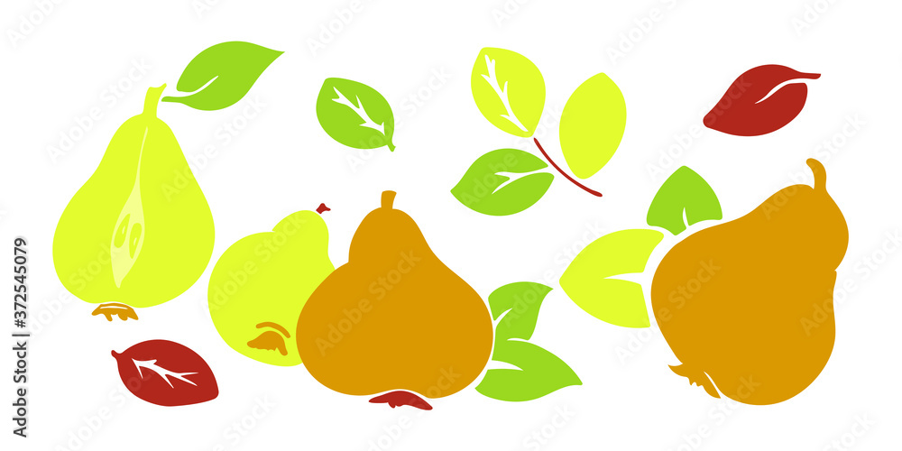 Vector pears, pear stub with seed, half pear, leaves isolated. Doodle ...