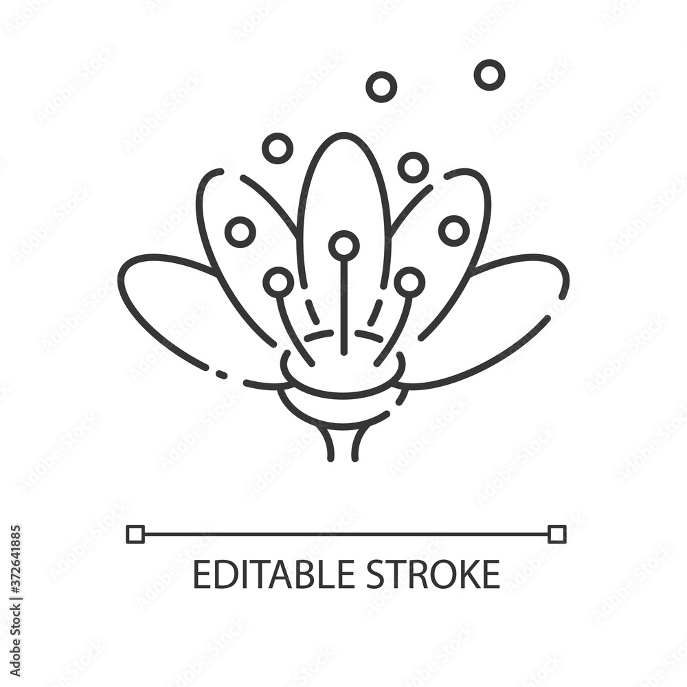 Pollen linear icon. Natural flowers reproduction. Pollination, seasonal ...