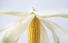 Heads Of Corn Free Stock Photo - Public Domain Pictures