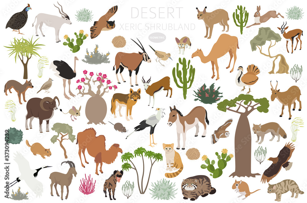 Desert biome, xeric shrubland biome, natural region infographic ...