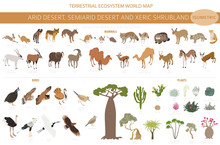 Desert Shrubland Free Stock Photo - Public Domain Pictures