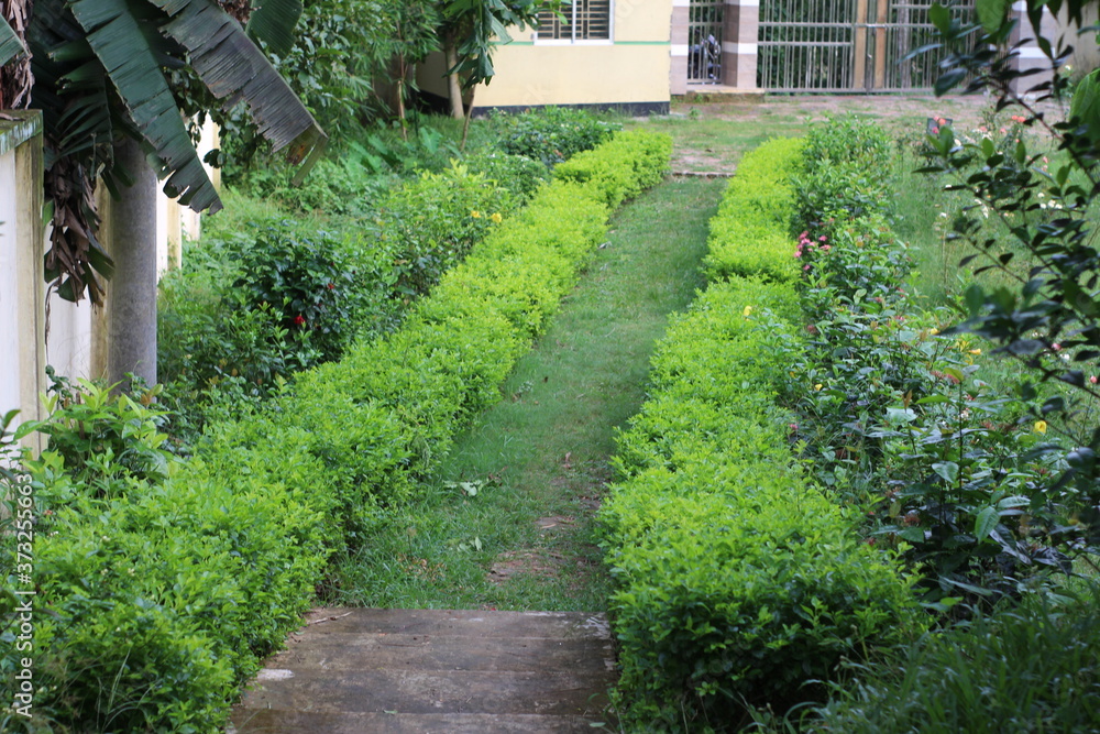 walk way, greenscreen background , photoshop Stock Photo | Adobe Stock