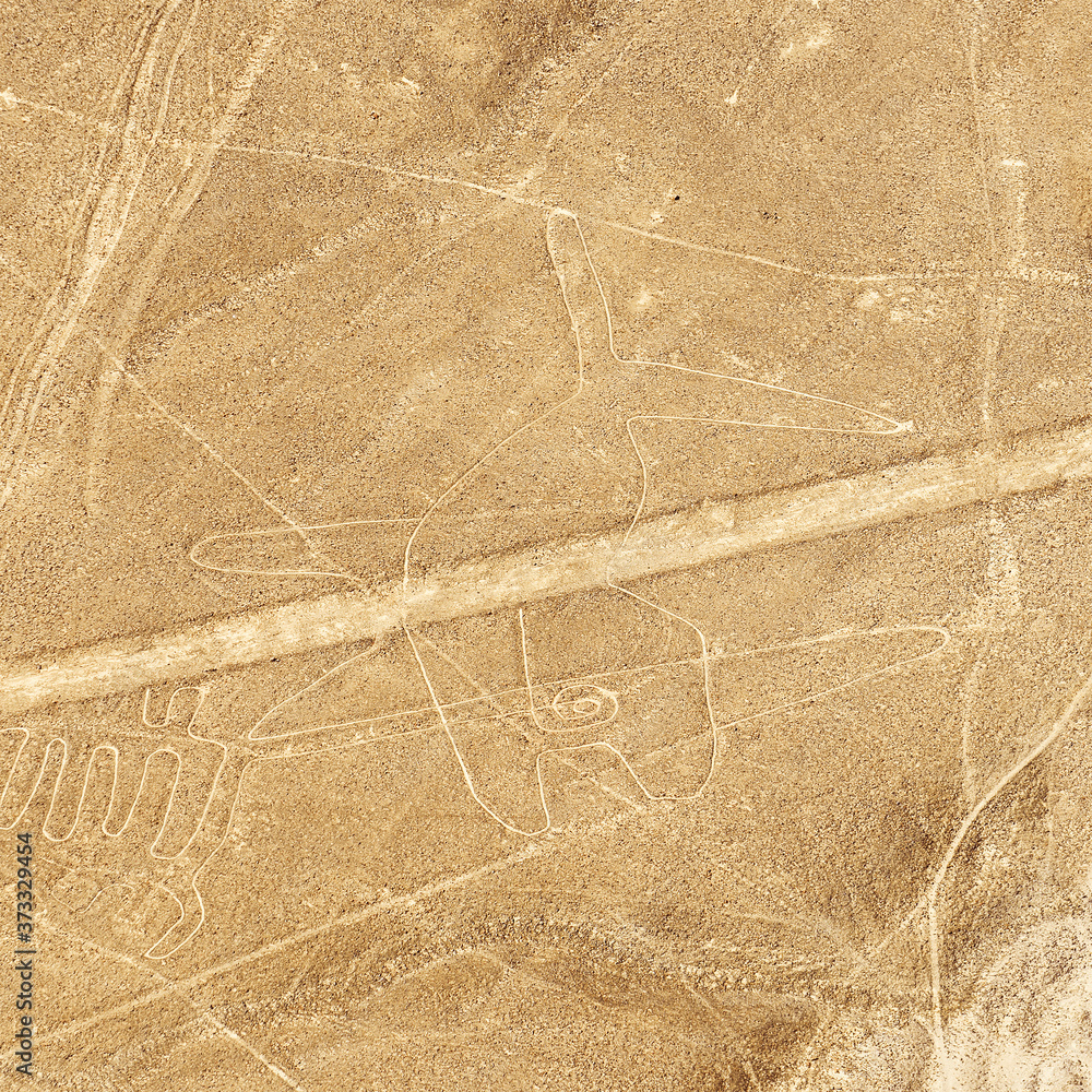 The whale geoglyph from the Nazca Lines archaeology site in the ...