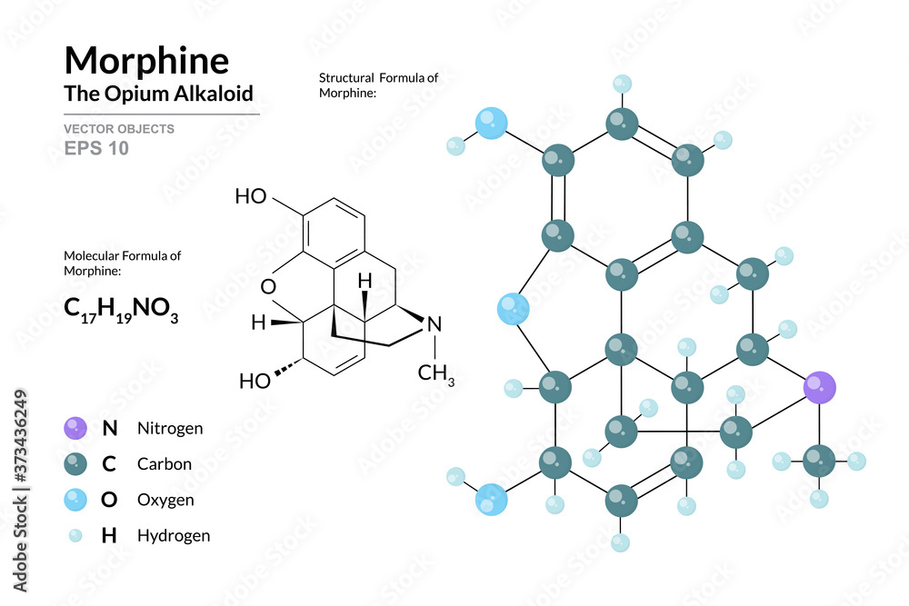 Morphine. Structural Chemical Formula and Molecule 3d Model. Atoms with Color Coding. Vector ...