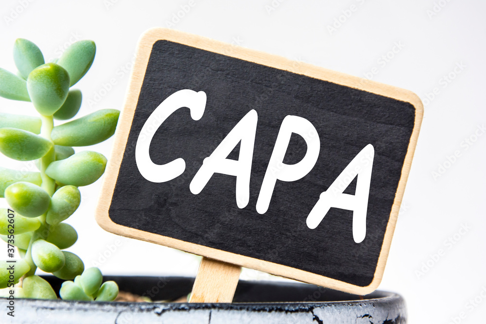 small black chalk board in a pot with succulents inscribed in white ...