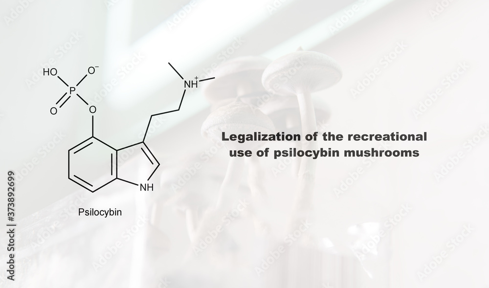 Legalization of the recreational use of psilocybin mushrooms ...
