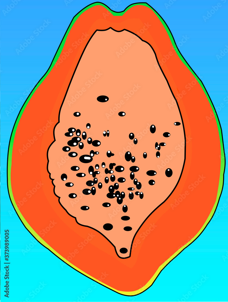 Ilustración de una papaya partida por la mitad con sus semillas,sobre ...