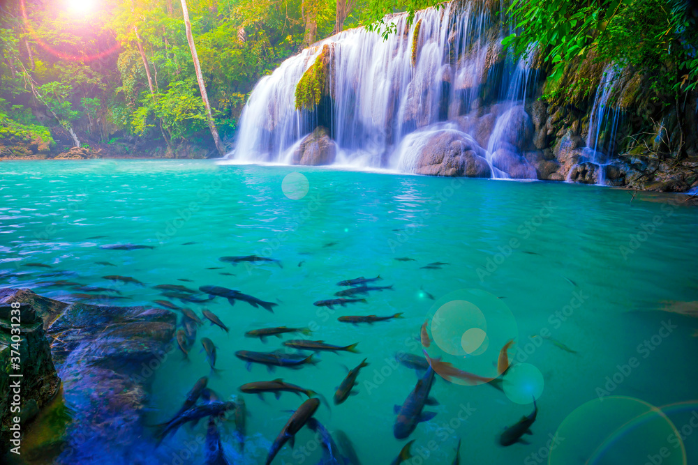 fish in waterfall
