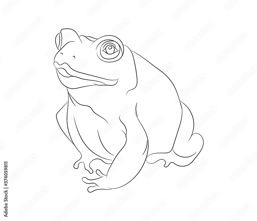 frog vector illustration, line drawing, vector Stock Vector | Adobe Stock