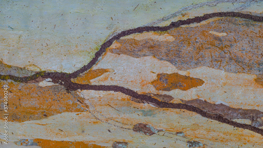 Tropical Texture: Red Gum Tree bark Stock Photo | Adobe Stock