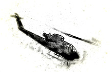 Frog Blueprint Art Free Stock Photo - Public Domain Pictures