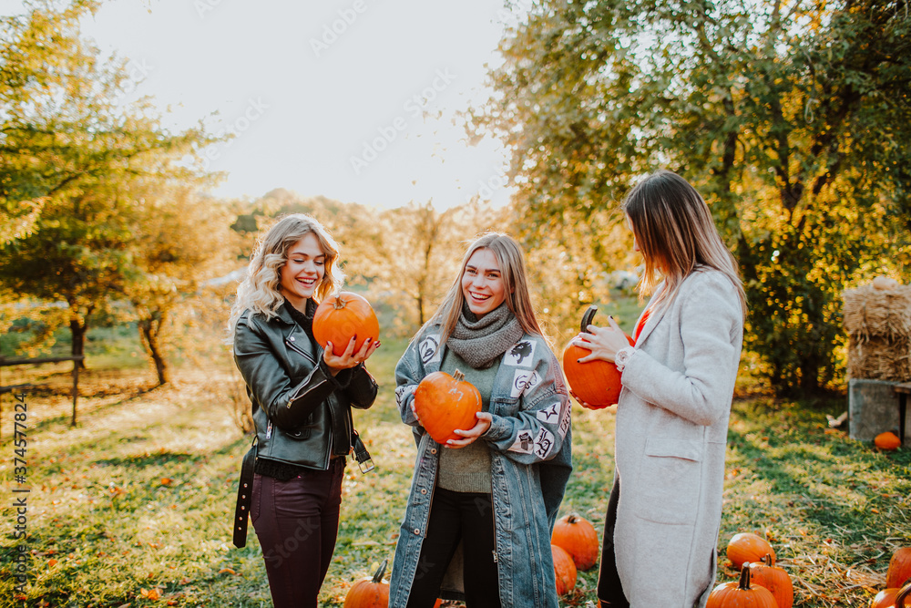 Photo Stock three teenage girls pose with pumpkins in their hands, toss ...