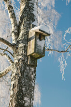 Snowy Bird House Free Stock Photo - Public Domain Pictures