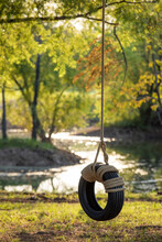 Old Fashion Tire Swing Free Stock Photo - Public Domain Pictures