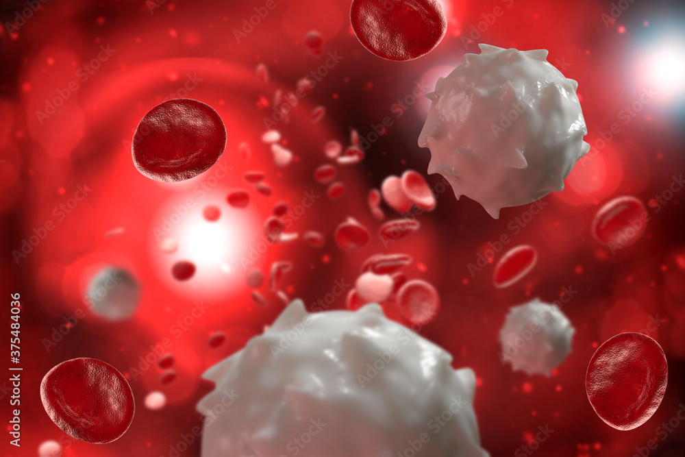Red White Blood Cells 3D Illustration Stock Illustration | Adobe Stock