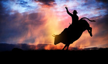 Bull Rider Free Stock Photo - Public Domain Pictures