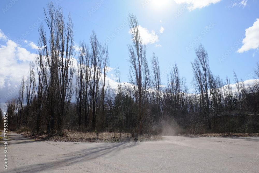 Clouds of dust on Pripyat street. Trees on the street of an abandoned ...