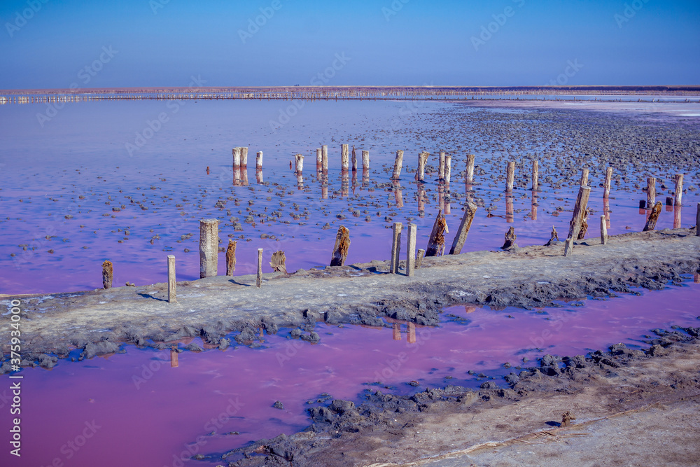 Salt, brine and mud of pink salty Sivash Lake near Azov Sea, colored by ...