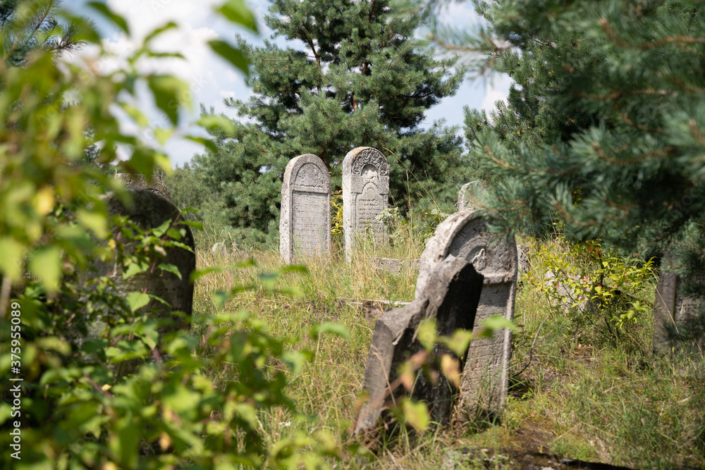 Tombstone at abandoned jewish cemetery in the middle of forest in Zarki ...