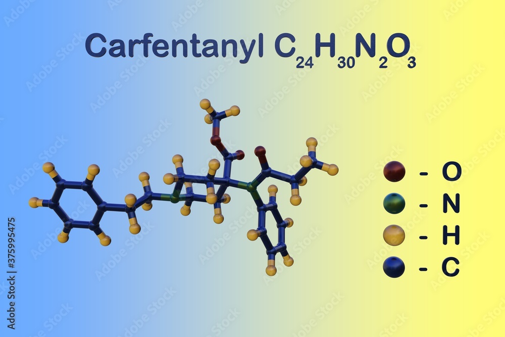 Structural chemical formula and molecular model of carfentanyl or ...