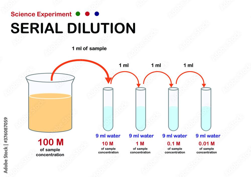 Vector de Stock Scientific experiment diagram show concept of serial dilution for decrease ...