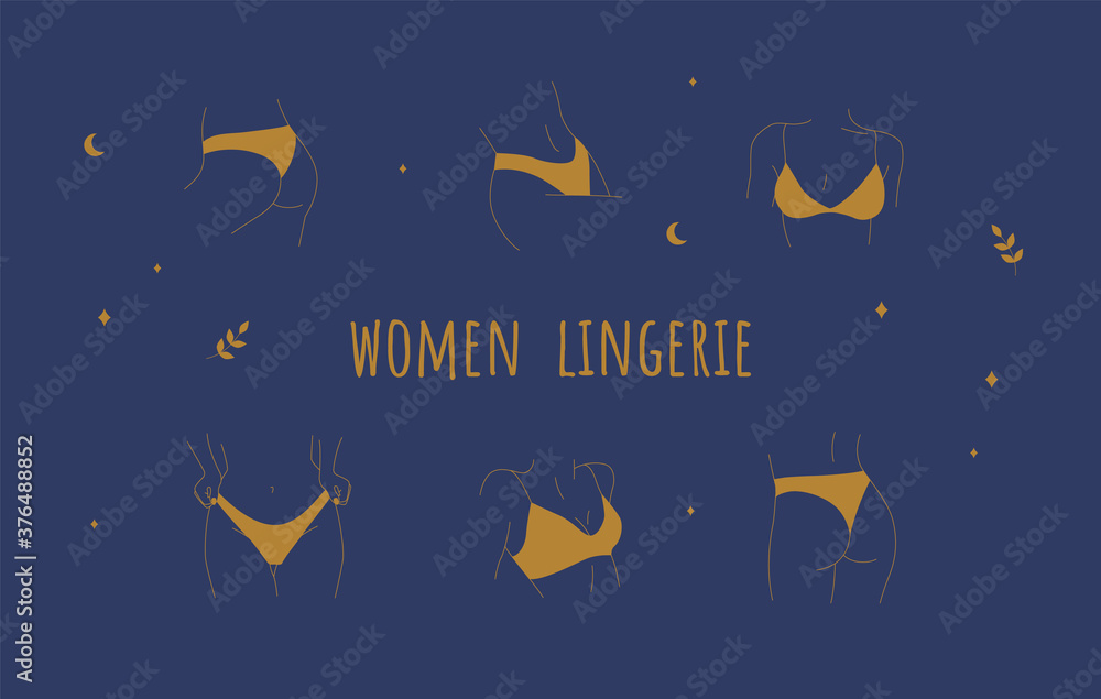 Women body parts. Underwear lingerie. Line art drawing. Vector Stock ...