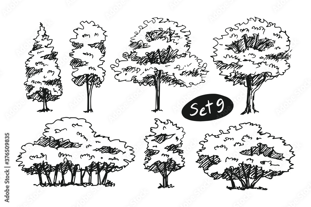Tree Sketch : Set of doodle hand drawn architect trees. Sketch ...