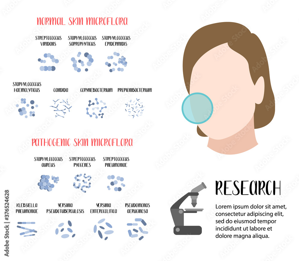 Normal, pathogenic skin microflora. Bacteria. Microbiome ...