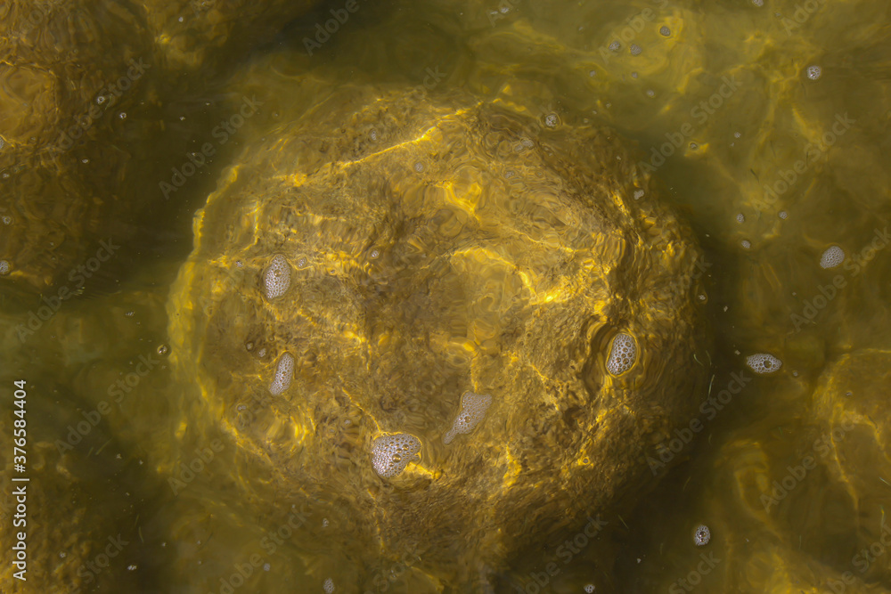 Rare colony of 6 kilometre long thrombolite living rocks calcium ...