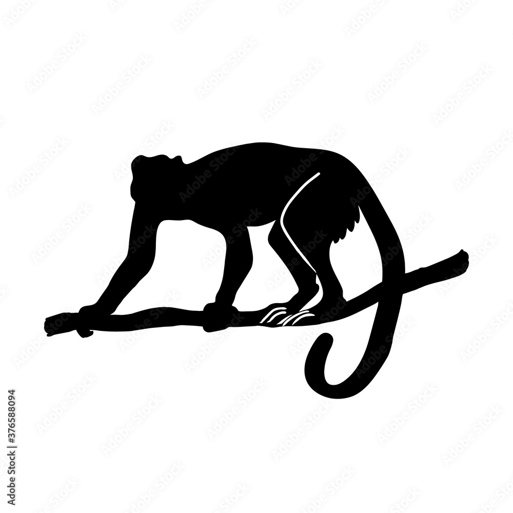 Monkey on the branch black silhouette. Jungle animal vector icon ...