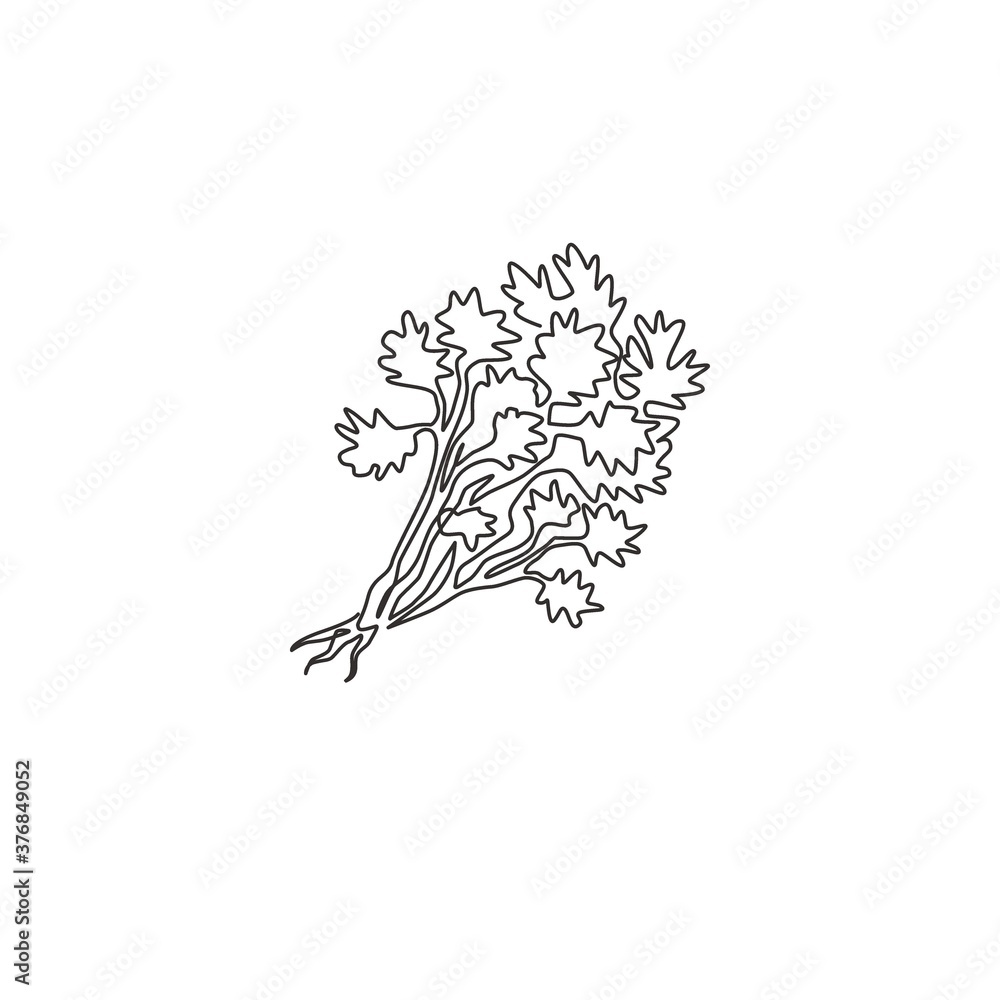 Single continuous line drawing of tied bunch healthy organic coriander ...
