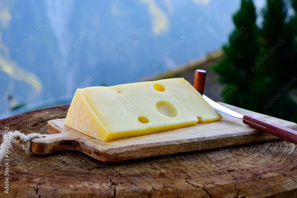 Cheese collection, French emmental de savoie cheese with round holes ...