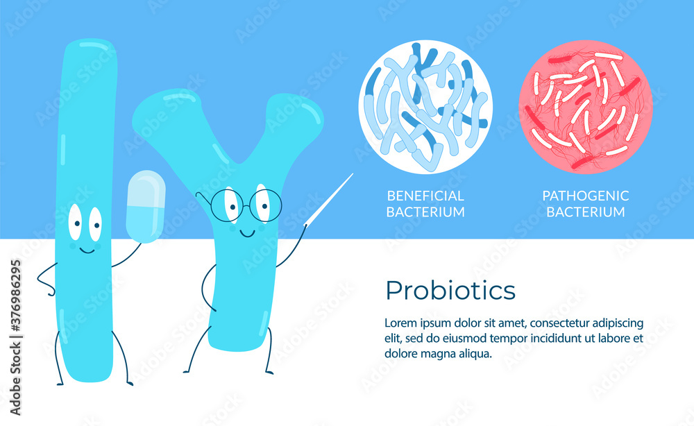Probiotics concept. Probiotics study positive and pathogenic bacteria ...