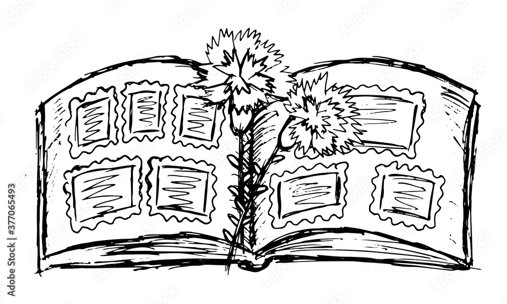 Outline hatching sketch of two carnations on an open photo album. Black ...