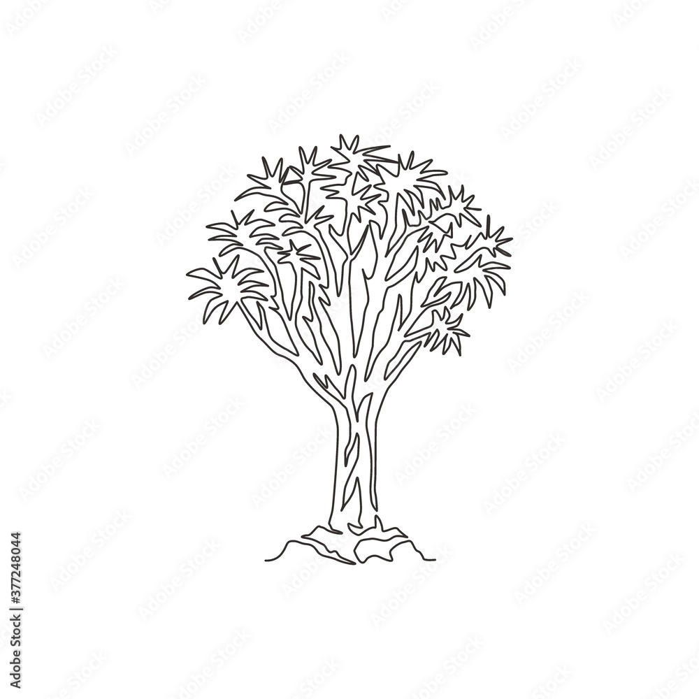 One continuous line drawing of quiver tree forest. Decorative kokerboom ...